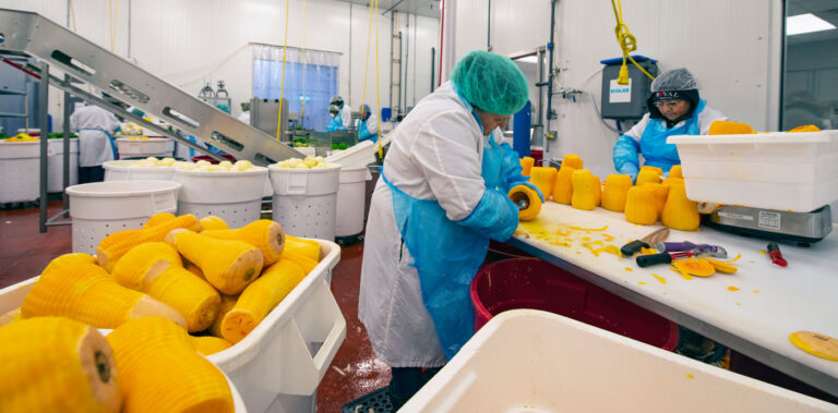 Safety & Benefits - Royal Fresh Cuts Nourishing While Conserving Resources